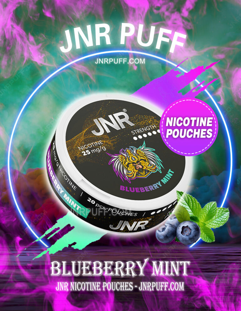 JNR Nicotine Pouches - Blueberry Mint - JNR Puff Vape